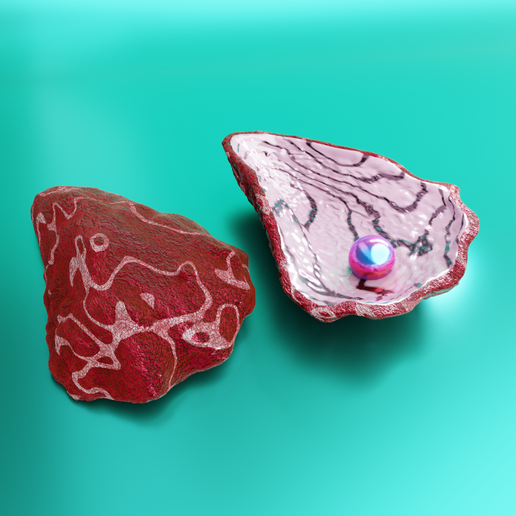 OBJ file Oyster Shell Vol. 4 - 3D Printable Decorative Gift 🦪 ・Template ...