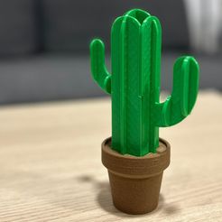 Download 1 3D model from Puzzle Cacti Collection listed by BlueprintDad ...
