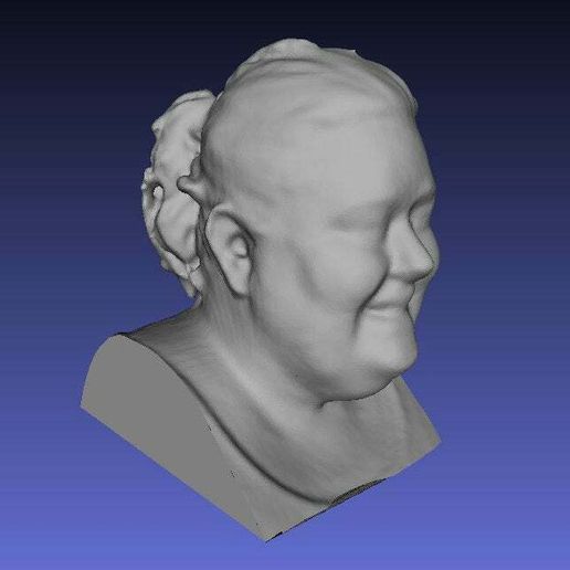 Free STL file Amy Buser Reconstructed 🩻 ・3D printing model to download ...