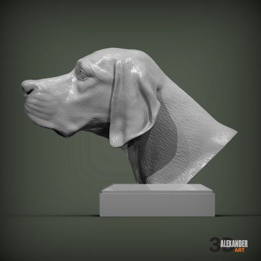 STL file English Pointer bust 3D print model 👤 (OBJ)・3D print design to ...