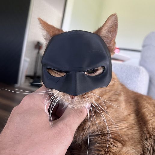 🐱 BATCAT | BATMAN CAT MASK・Archivo 3MF para Impresión 3D・Cults