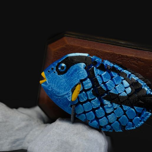 🐠 Blue Tang・ 3D File for ・Cults