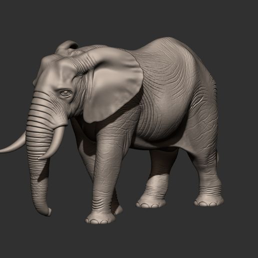 🐄 Animal Kingdom Wildlife set STL Files 3D Printable model・ 3D File for ...