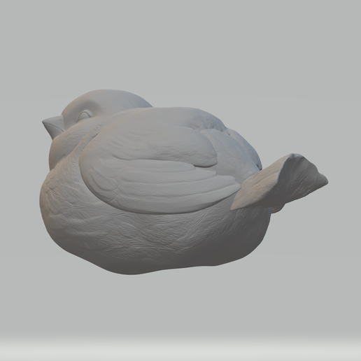 🐦 Little Bird 3D Model 3D print model・ STL File for ・Cults