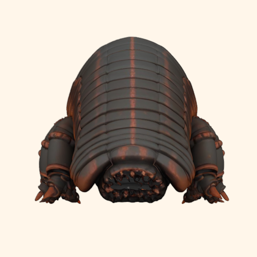 👹 Trilobite Creature・Free STL File for 3D printing・Cults