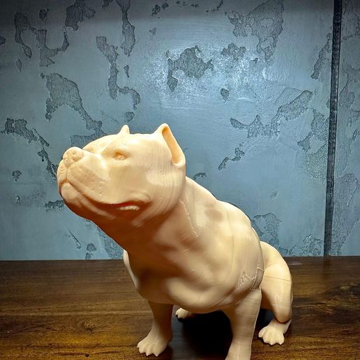 STL file American Bully dog figure 🐕 ・Model to download and 3D print・Cults