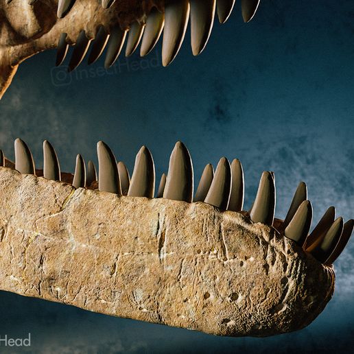 🦖 Utahraptor dinosaur skull・ STL File for 3D printing・Cults