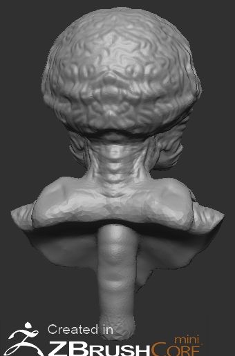 zbrush first time