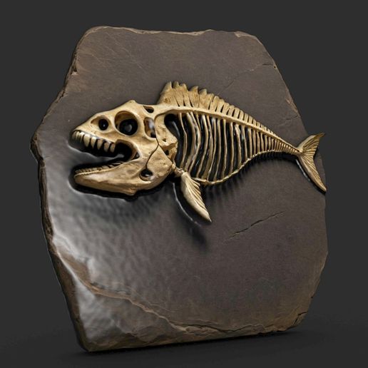 🐠 Prehistoric Fish Skeleton Fossil・ 3D File for 3D printing・Cults