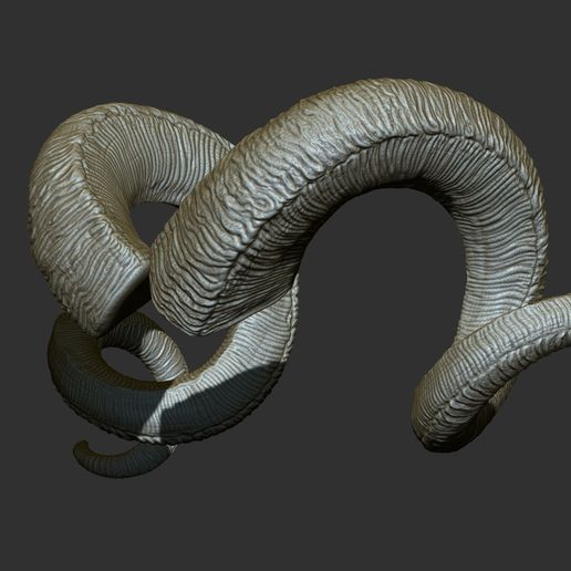 🤘 24 - Creature+Monster+Demon Horns・ 3D File for 3D printing・Cults