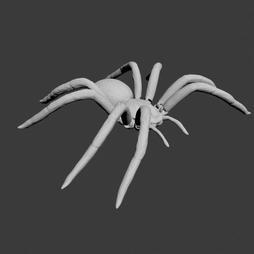 STL file Woft Spider Big Details 3D Print STL File 🕷️ (OBJ)・3D ...