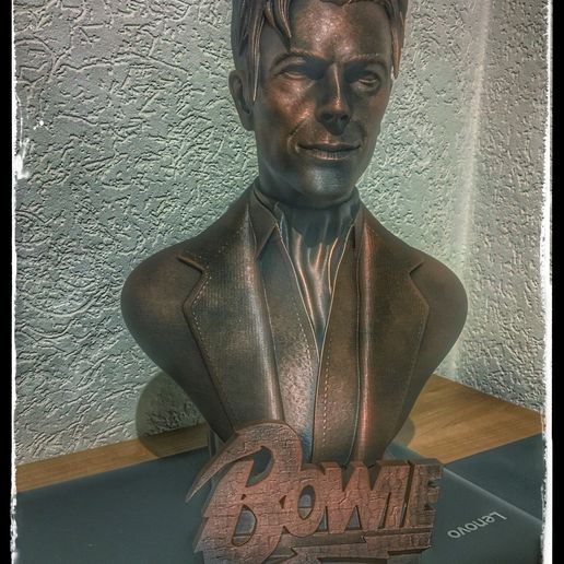 3D printer DAVID BOWIE BUST EASY PRINT • made with Bambu Lab p1p・Cults