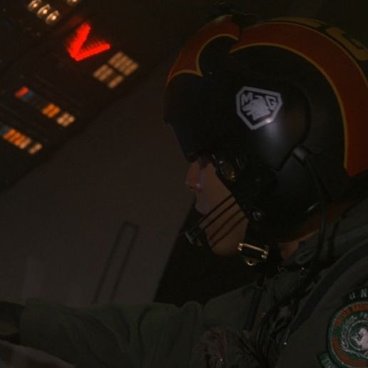 🚩 Godzilla 1993-1995 - UNGCC Patch・Free STL File for 3D printing・Cults