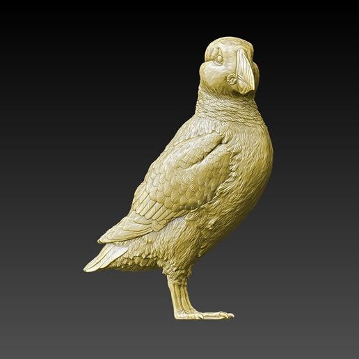 Archivo STL Atlantic Puffin model 🇮🇸 ・Objeto para impresora 3D para ...