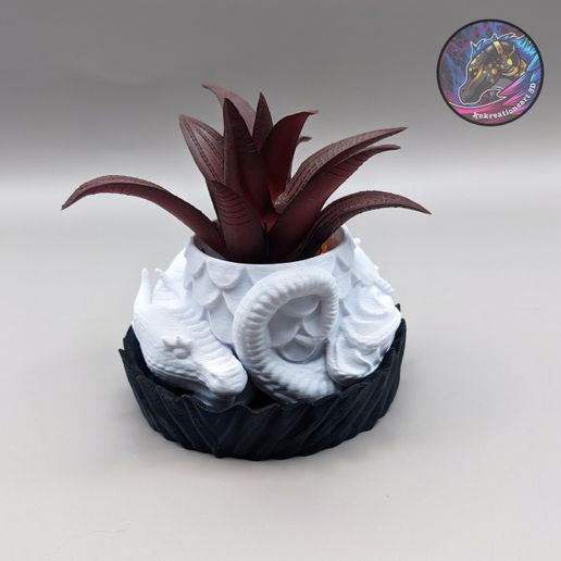 3D file Dragon Planter, Dragon Storage Box 🐉 ・Template to download and ...