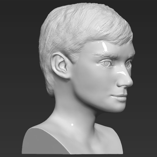 3D file Audrey Hepburn bust 3D printing ready stl obj formats・3D printing idea to download・Cults