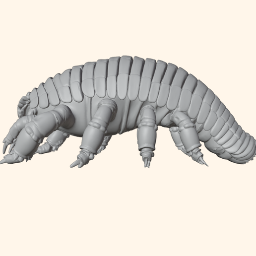 👹 Trilobite Creature・Free STL File for 3D printing・Cults