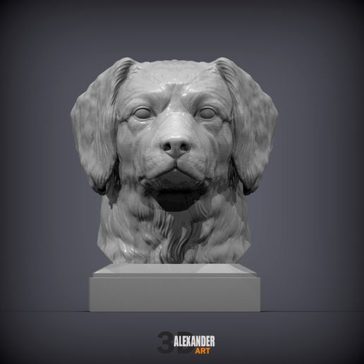 🐕 dutch kooiker dog bust 3D print model・ STL File for 3D printing・Cults