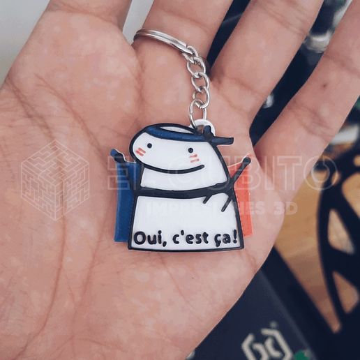 🇫🇷 FLORK FRANCE FRANCE COUPE DU MONDE DE FOOTBALL・ STL File for ・Cults