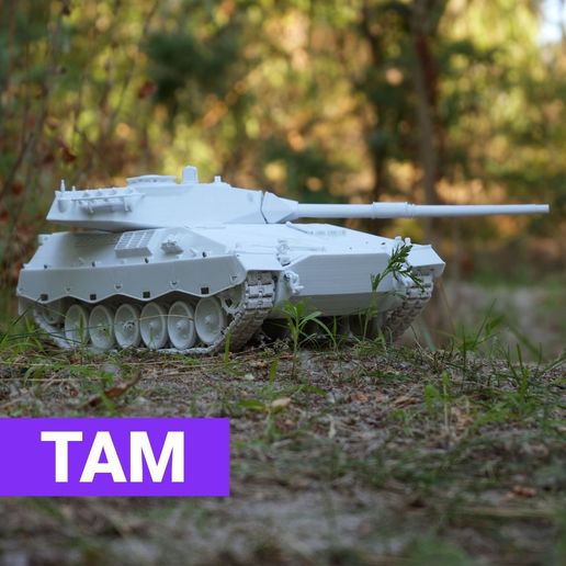 🪖 TAM・ 3D File for 3D printing・Cults