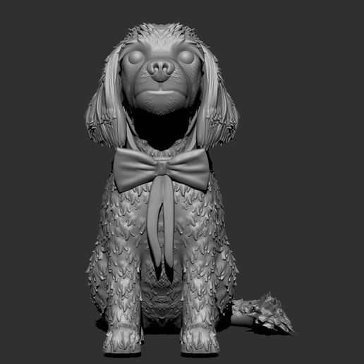 Файл STL COCKER 🐩 ・3D-печатный дизайн для загрузки・Cults