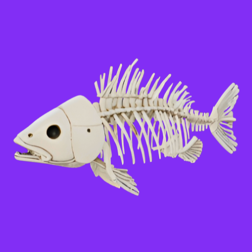 🐠 Detailed Fish Skeleton・ STL File for 3D printing・Cults
