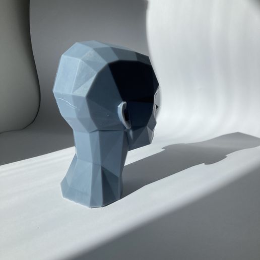 🎨 Planes of the head reference for portrait artists・ STL File for 3D ...
