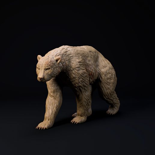 🐻 Arctodus Simus Short faced bear pre-supported・ 3D File for 3D ...