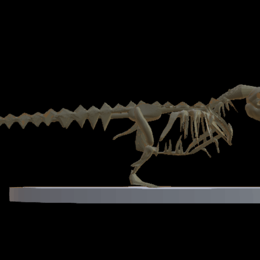 🦖 Trex skeleton.・Free 3D File for ・Cults