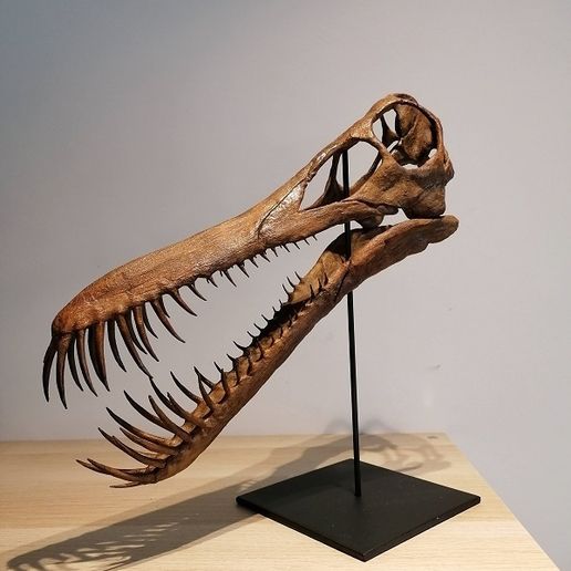 💀 Pterosaur skull - Boreopterus・ STL File for 3D printing・Cults