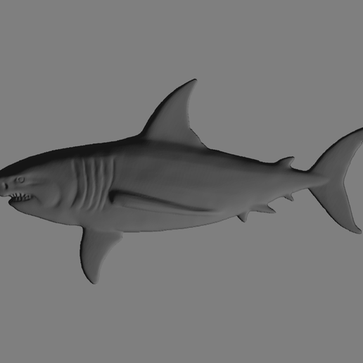 STL file shark stl cnc design 🦈 ・3D printable model to download・Cults