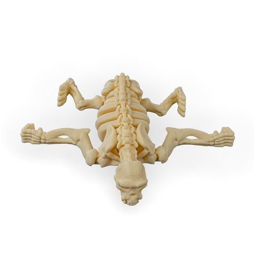 3D file Skeleton Chimp 💀 ・Template to download and 3D print・Cults