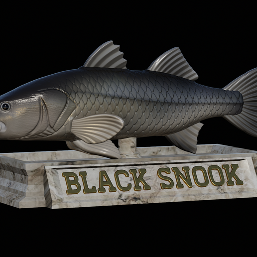 STL file fish black snook / robalo / Centropomus nigrescens open mouth ...