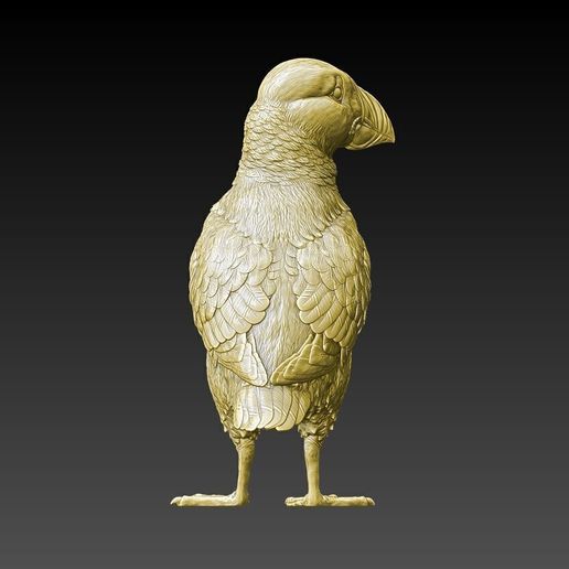 STL file Atlantic Puffin model 🇮🇸 ・3D printable model to download・Cults