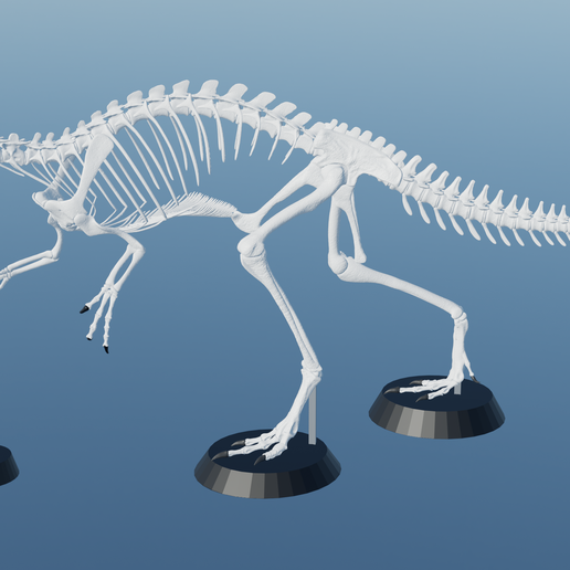 💀 Dilophosaurus wetherilli skeleton 70cm and 35cm 3d print・ 3D File for ...
