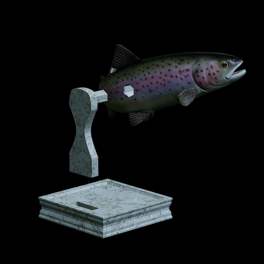 🌈 rainbow trout / Oncorhynchus mykiss fish in motion trophy statue ...