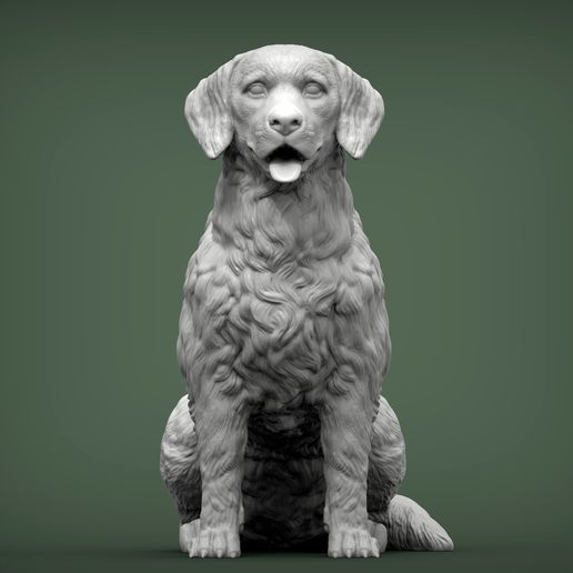 3D file Golden retriever 3D print model 🐕 ・3D printing design to ...