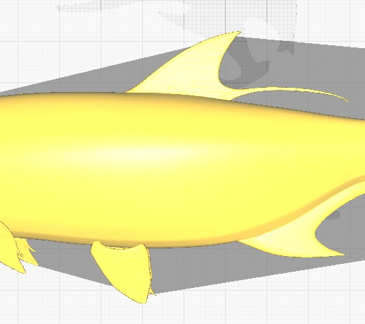 🤡 Set of Tarpon, Permit, Mutton Snapper and Clown Knife Fish models ...