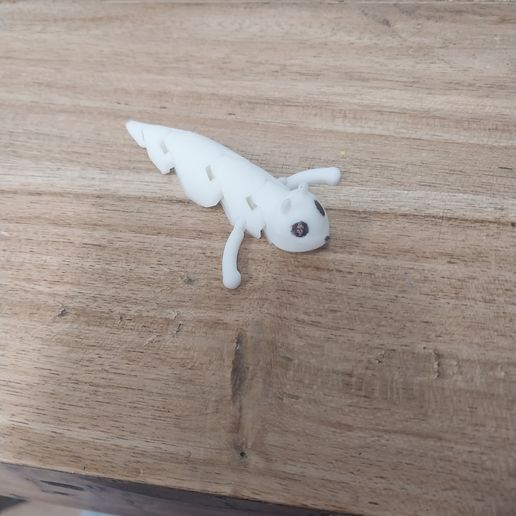🎲 Flexi Slugcat・Free STL File for 3D printing・Cults