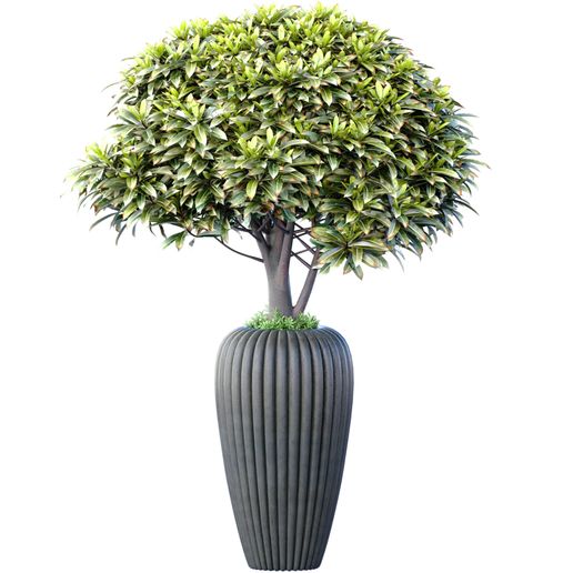 🇬🇪 Decorative tree,bush,shrub in a gray designer vase,planters ...