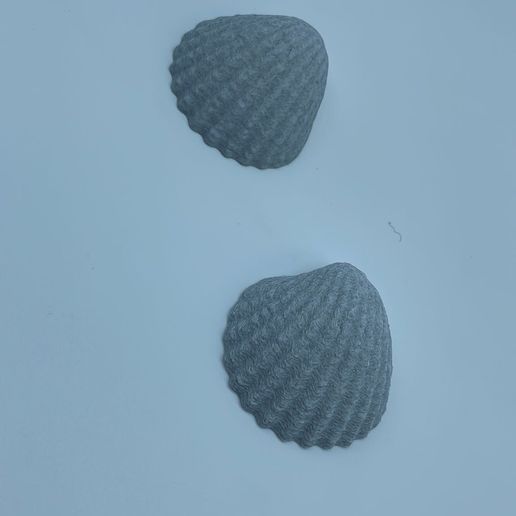 3D printed Sea shell・Cults