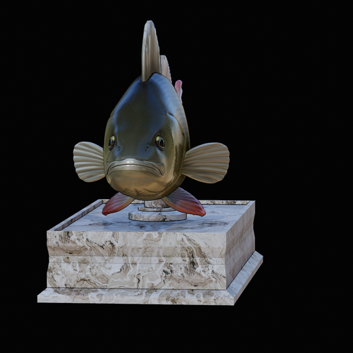 🐠 fish european perch / Perca fluviatilis with storage space / for 3d ...