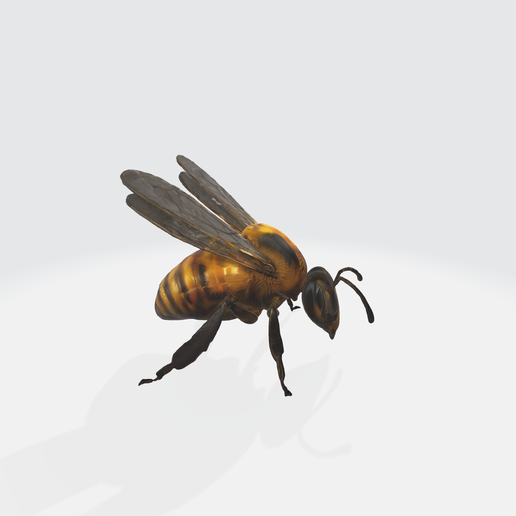 🐝 Realistic 3D Bee Model - Insect Asset・ 3D File for 3D printing and Electronics - PCB・Cults