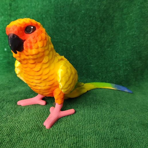 🦜 Conure・ STL File for 3D printing・Cults