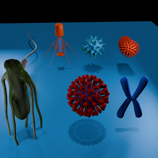 ⚕️ Complete Microscopic Cell & Virus Anatomy 3D Model Pack・ STL File ...