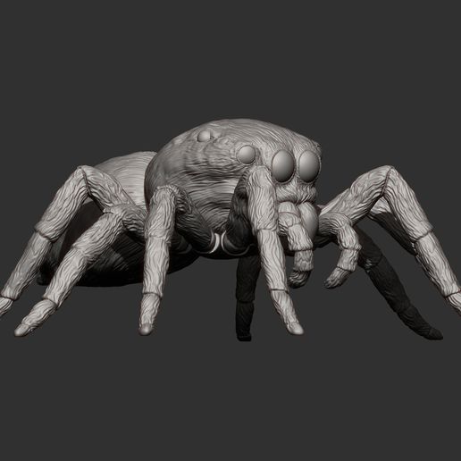 STL file Jumping spider 3D print model 🕷️ (OBJ)・3D printable model to ...