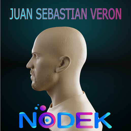 👤 Juan Sebastián Verón Bust - Magic and Precision in the Midfield・ STL ...