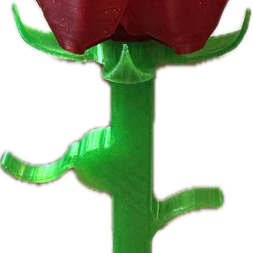 STL file Fidget Rose 👌 ・3D print design to download・Cults