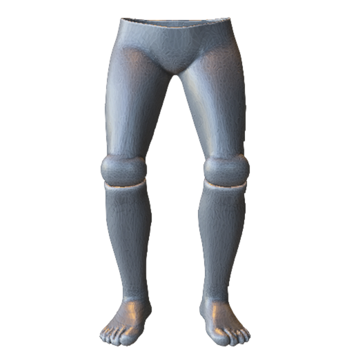 👾 Human Legs Anatomy Base・ STL File for 3D printing・Cults
