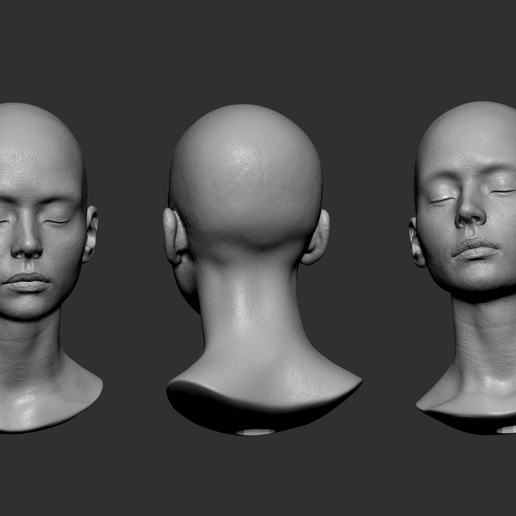 ♀️ Realistic Female Bust with Stand - 12M Polys, High/Medium Poly, Skin ...
